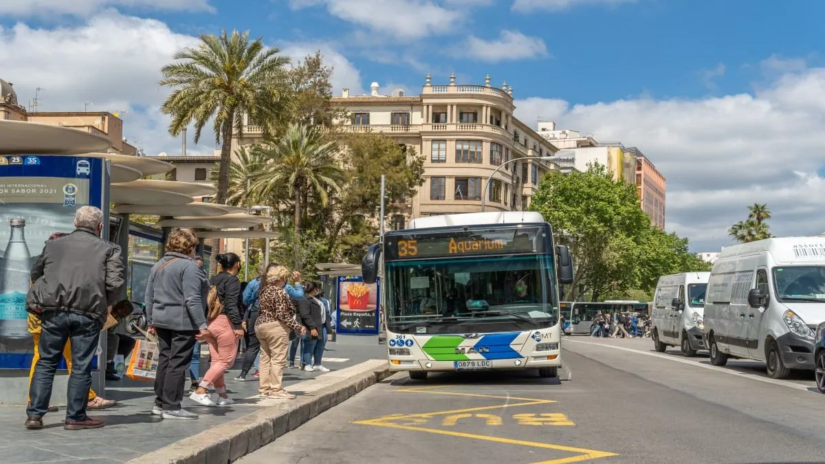 Here Are the 5 Best Palma Airport Transportation Choices